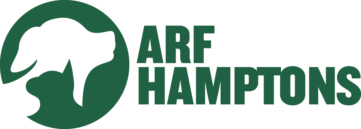 Dan’s Papers: ARF Hamptons Director Kimberly Nichols Discusses the ...